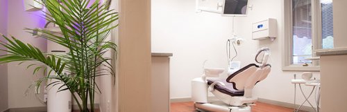 The Dental Dream Team (Gina Prokosch-Cook, DDS) | The Dental Dream Team ...